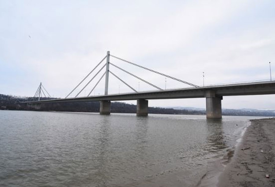 Upozorenje zaštitara: U Dunavu ostalo još samo pet vrsta jesetri, dok ...