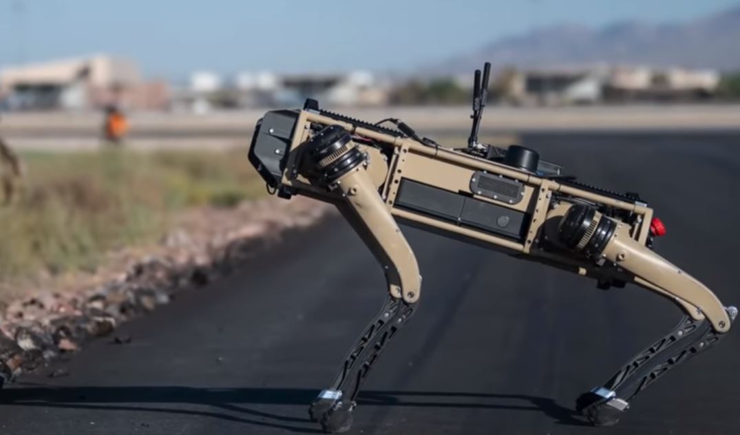 JEDAN OD NAJVEĆIH TEHNOLOŠKIH EKSPERIMENATA On je robot-pas, vjerni ...