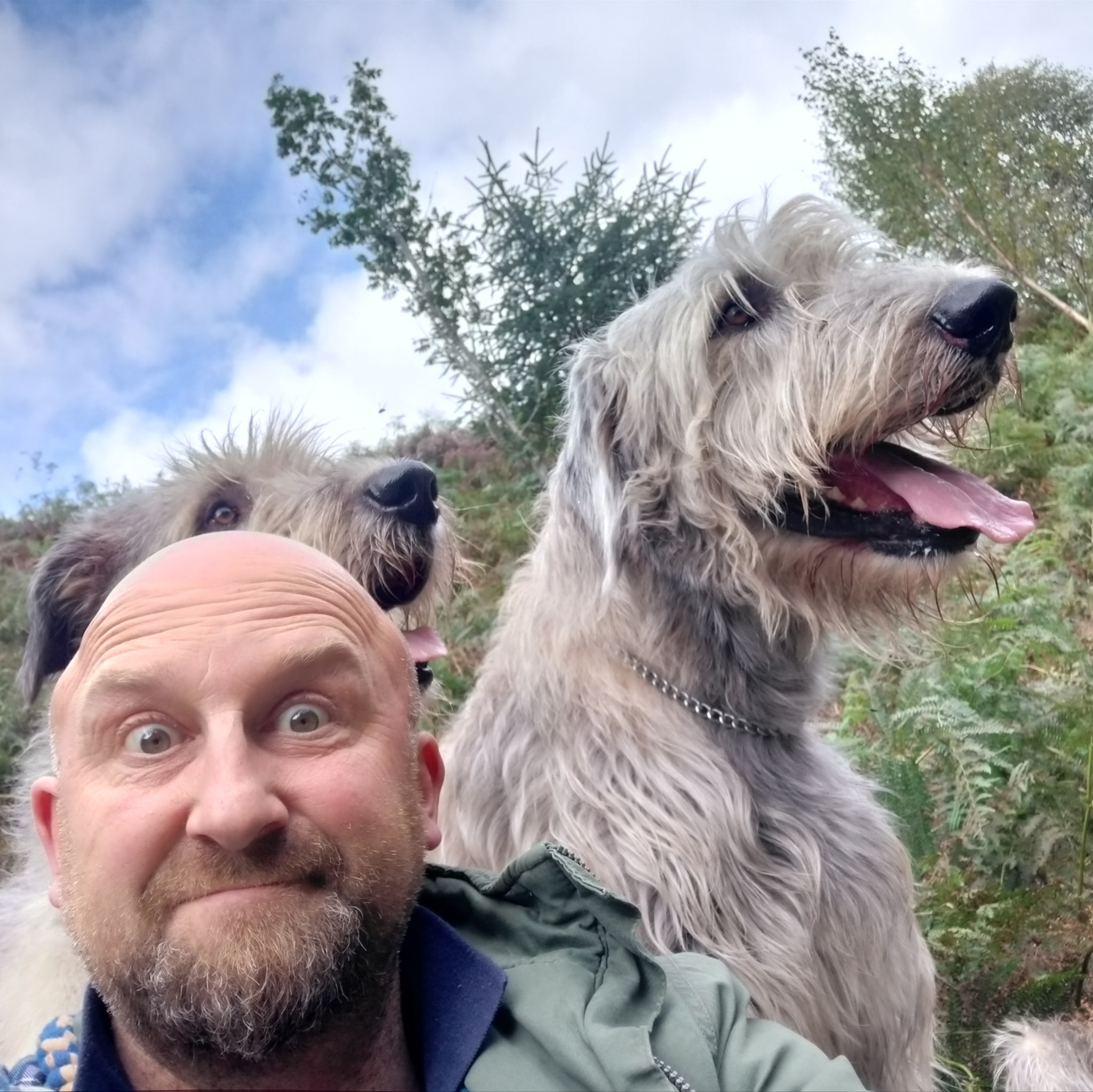 “NAJBOLJE STVARI U ŽIVOTU SU NAPORNE” Žive sa 10 najvećih pasa na ...