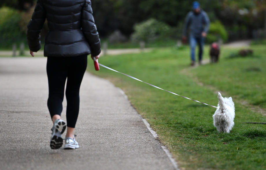 Policija pokrenula istragu u vezi sa trovanjem pasa na Banj brdu