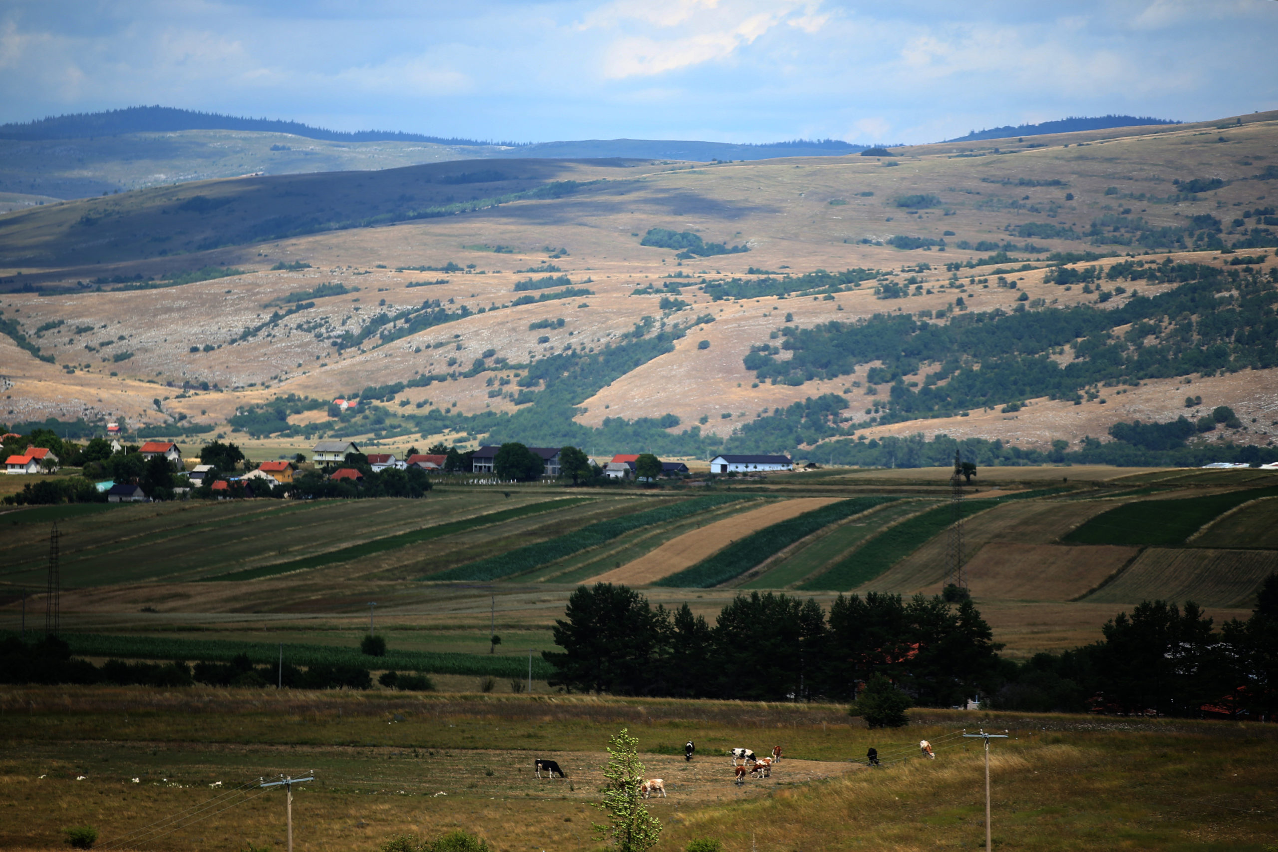 Selo Rore najbogatiji prostor vrijeskom u bivšoj Jugoslavije