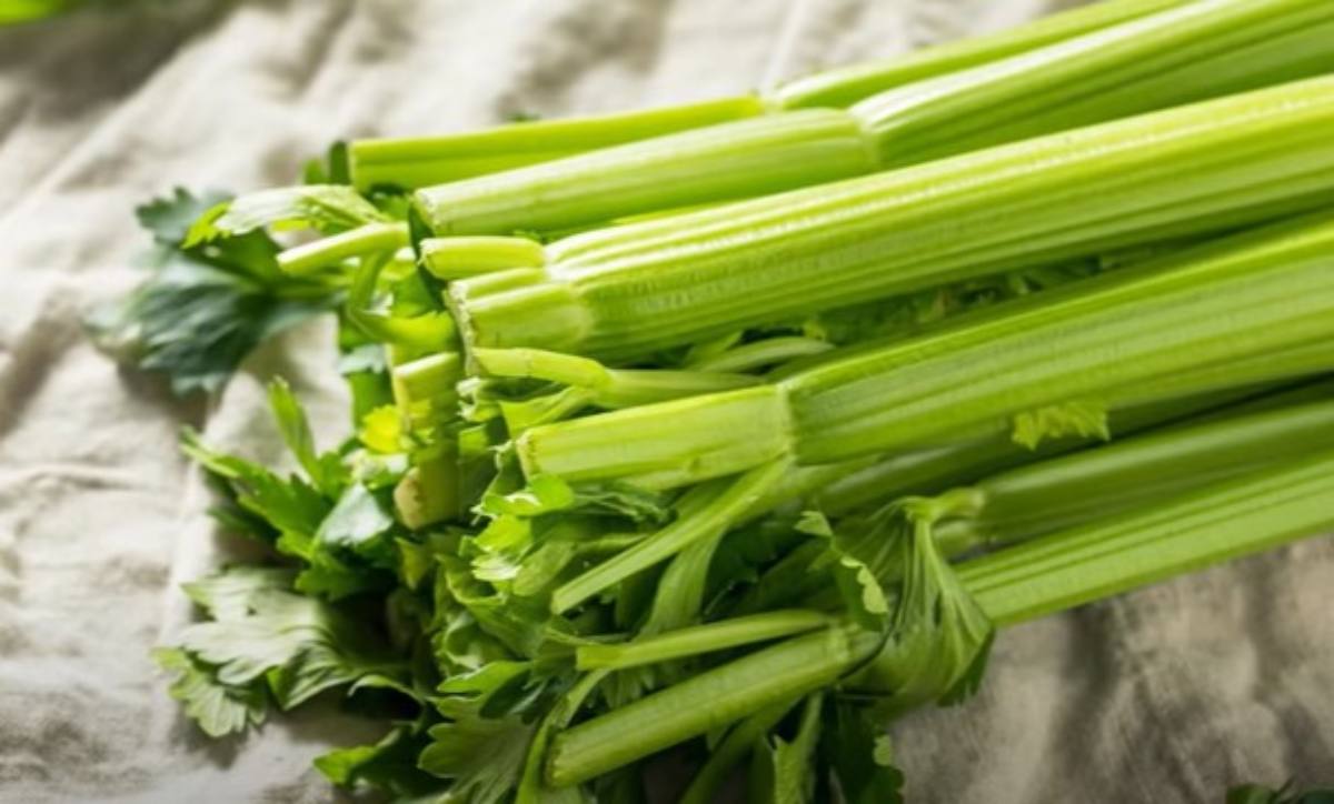Celer čuva srce, umiruje upale i balansira hormone