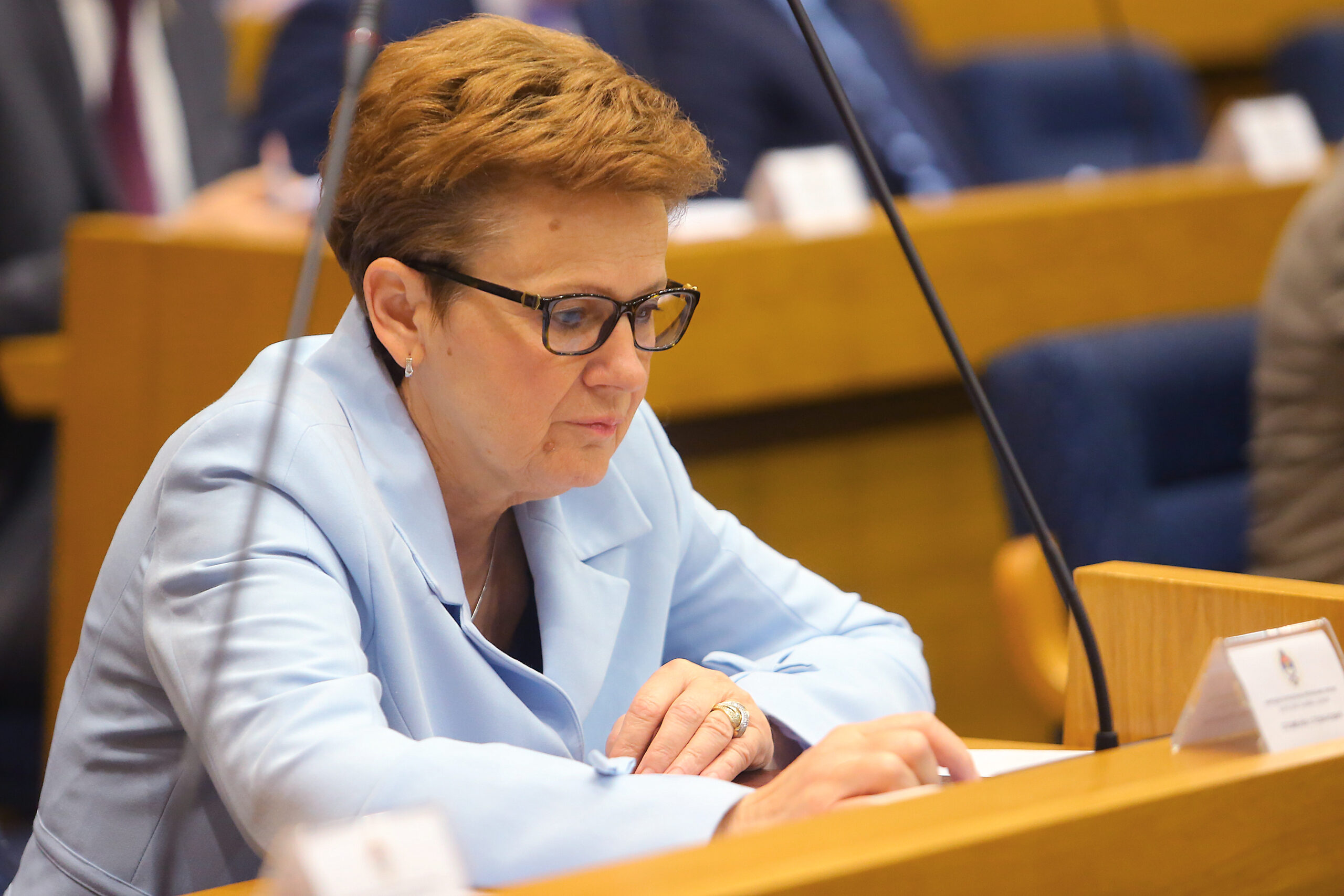 Spomenka Stevanović o izgradnji malih hidrocentrala u Republici Srpskoj