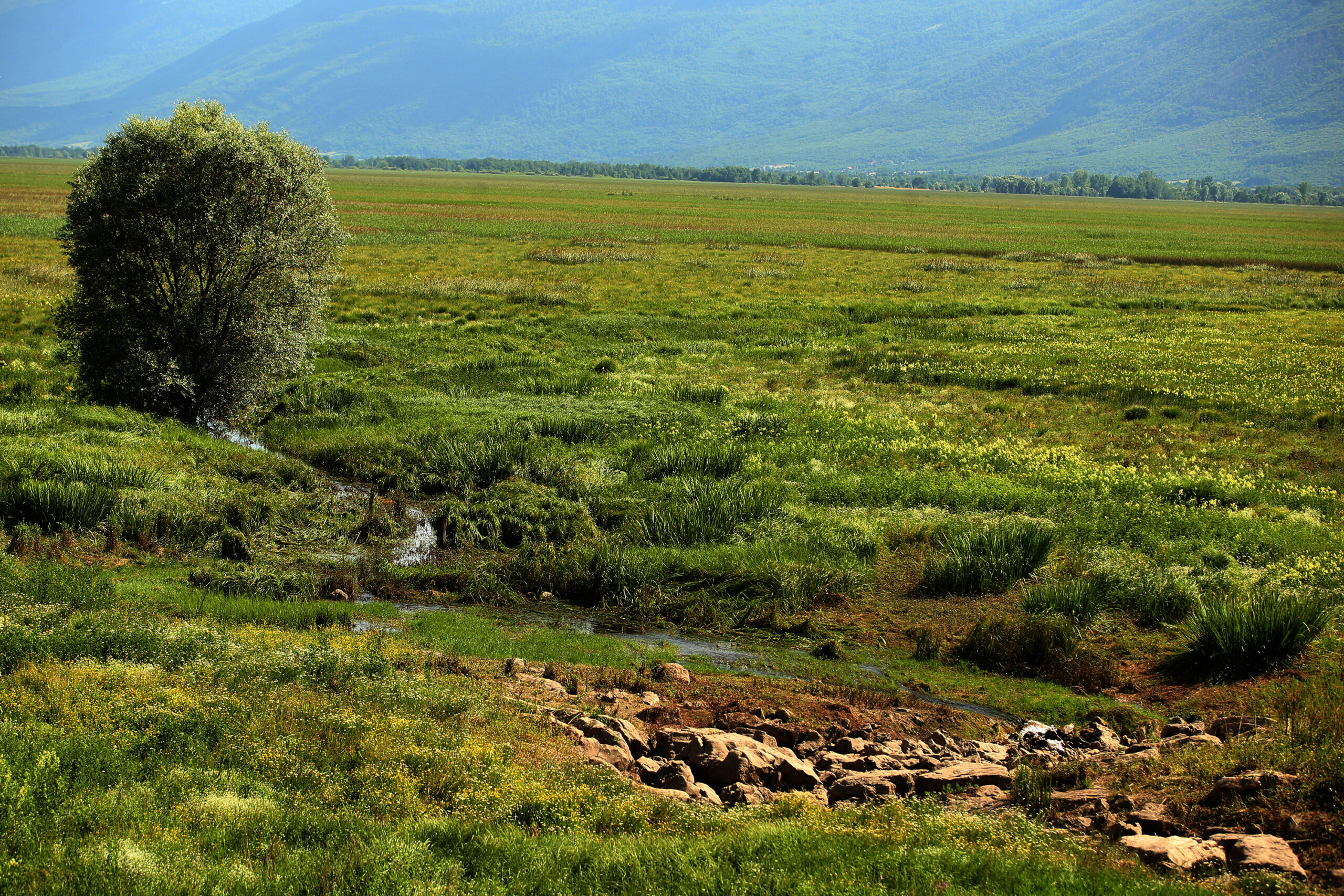 Počelo foto takmičenje "Kraška polja Bosne i Hercegovine 2023"
