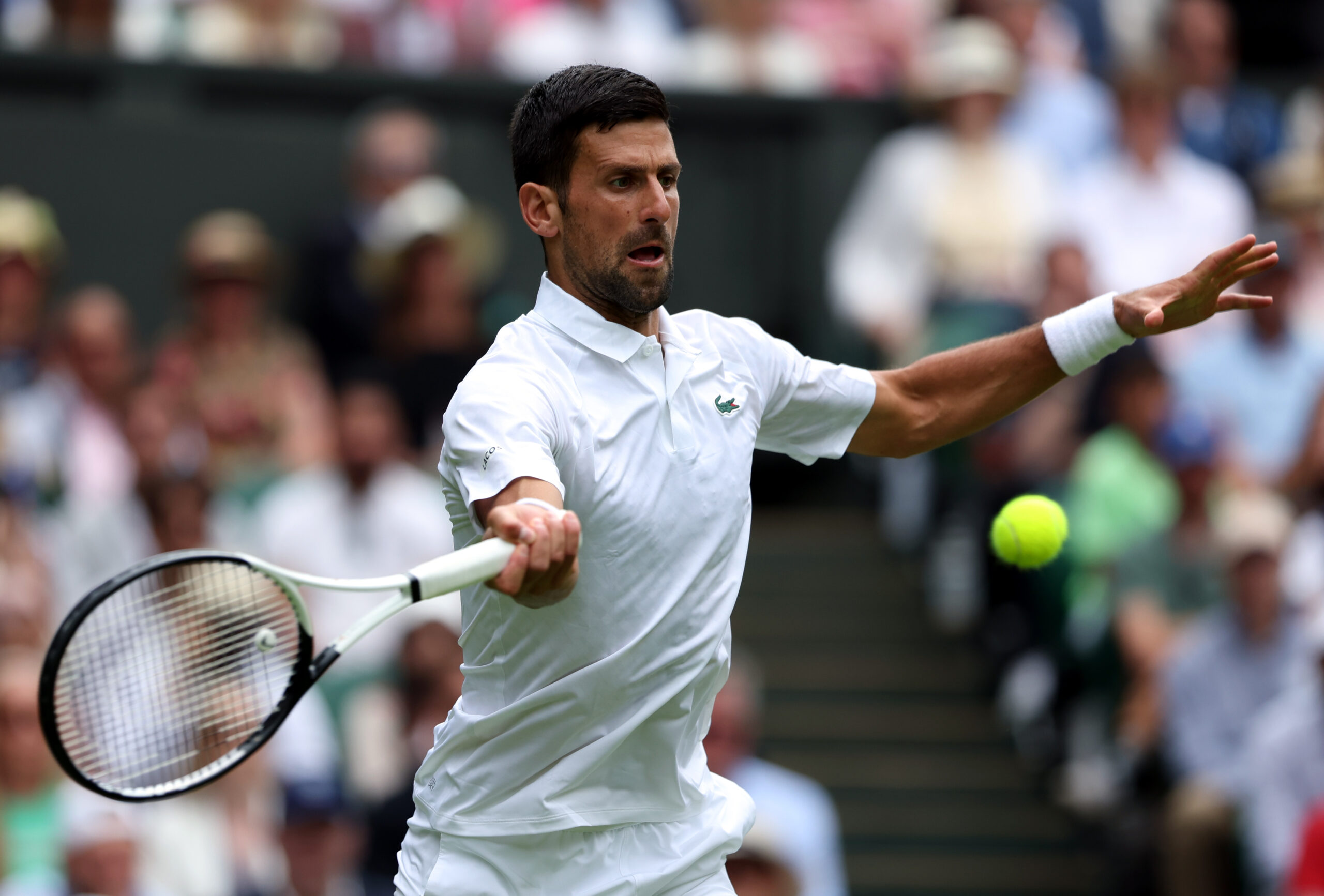 Ovo su teniseri koji imaju veći procenat pobjeda od Srbina na Vimbldonu