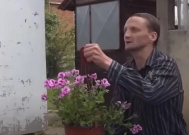 Ovako sada izgleda Nenad iz "Provodadžija"