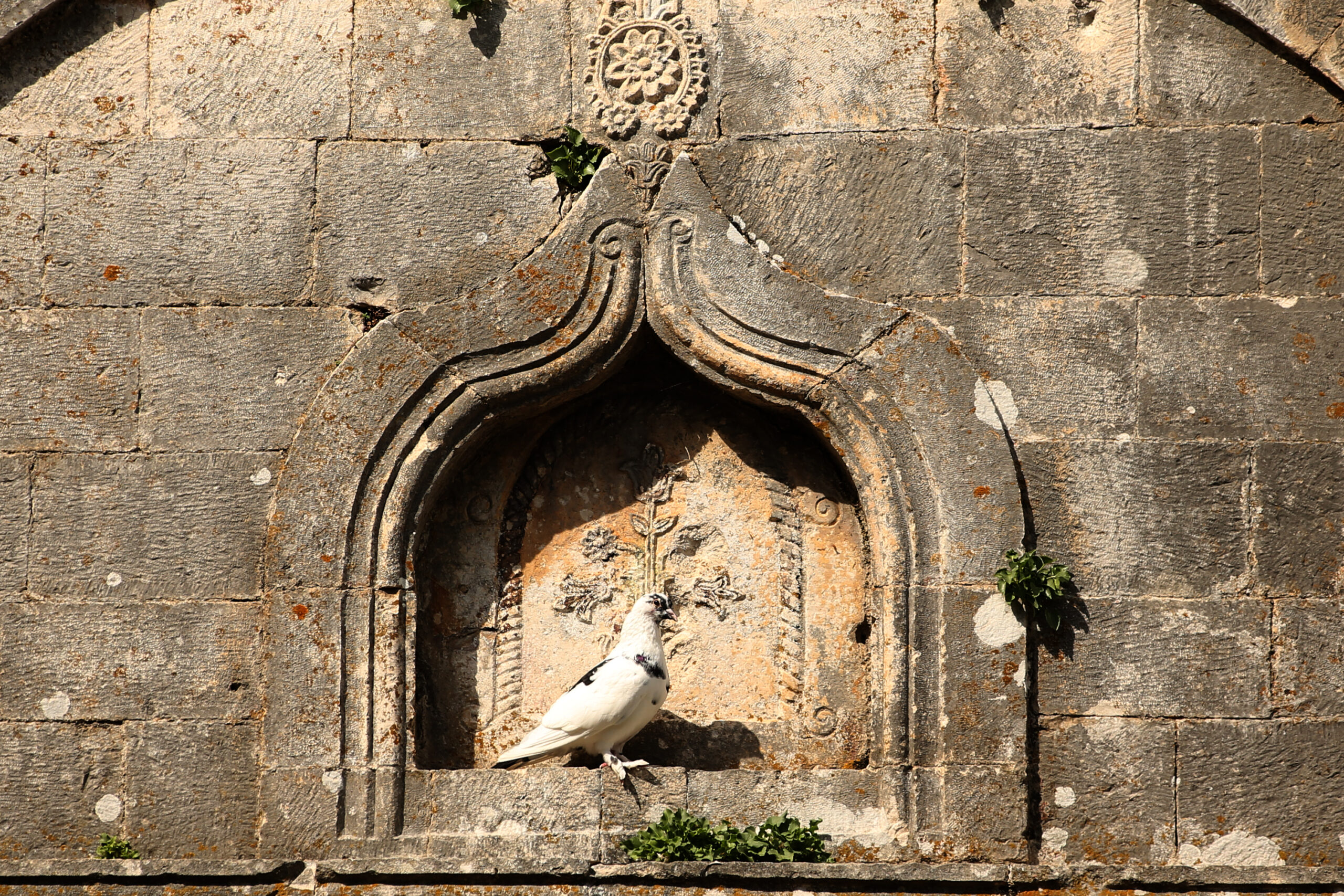 Kako žive Srbi na sjeveru Albanije (VIDEO, FOTO)