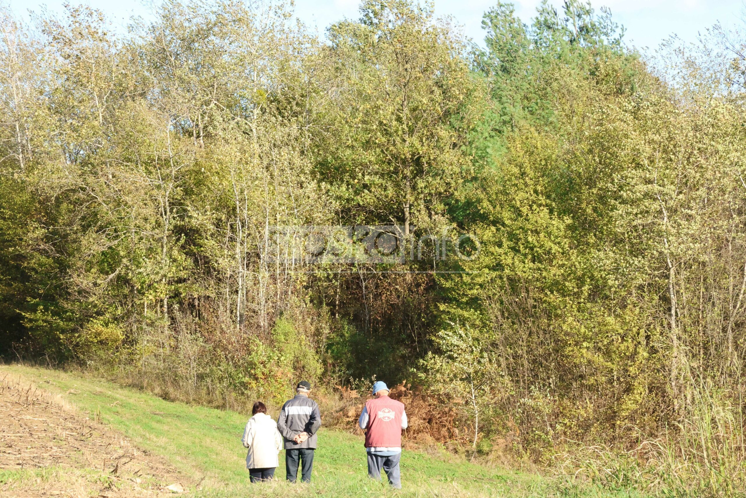 Evo gdje je nađen medvjedić koji je digao region na noge