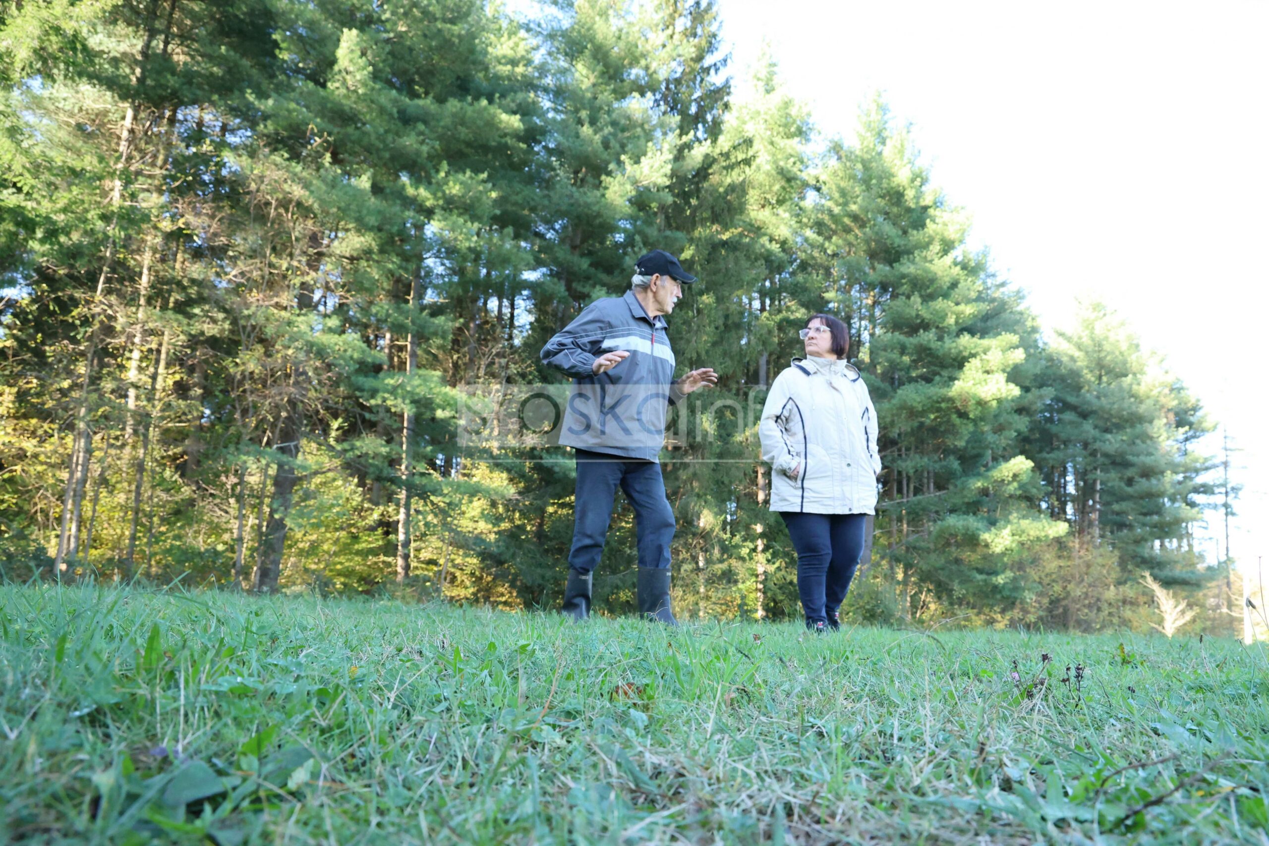 Evo gdje je nađen medvjedić koji je digao region na noge