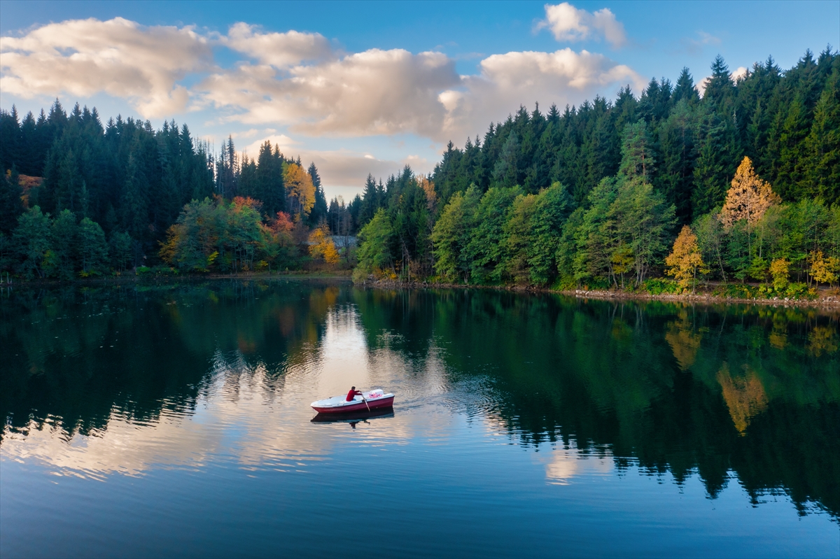 Nacionalni park u turskom Artvinu biser prirode i bogatstvo biljnog svijeta