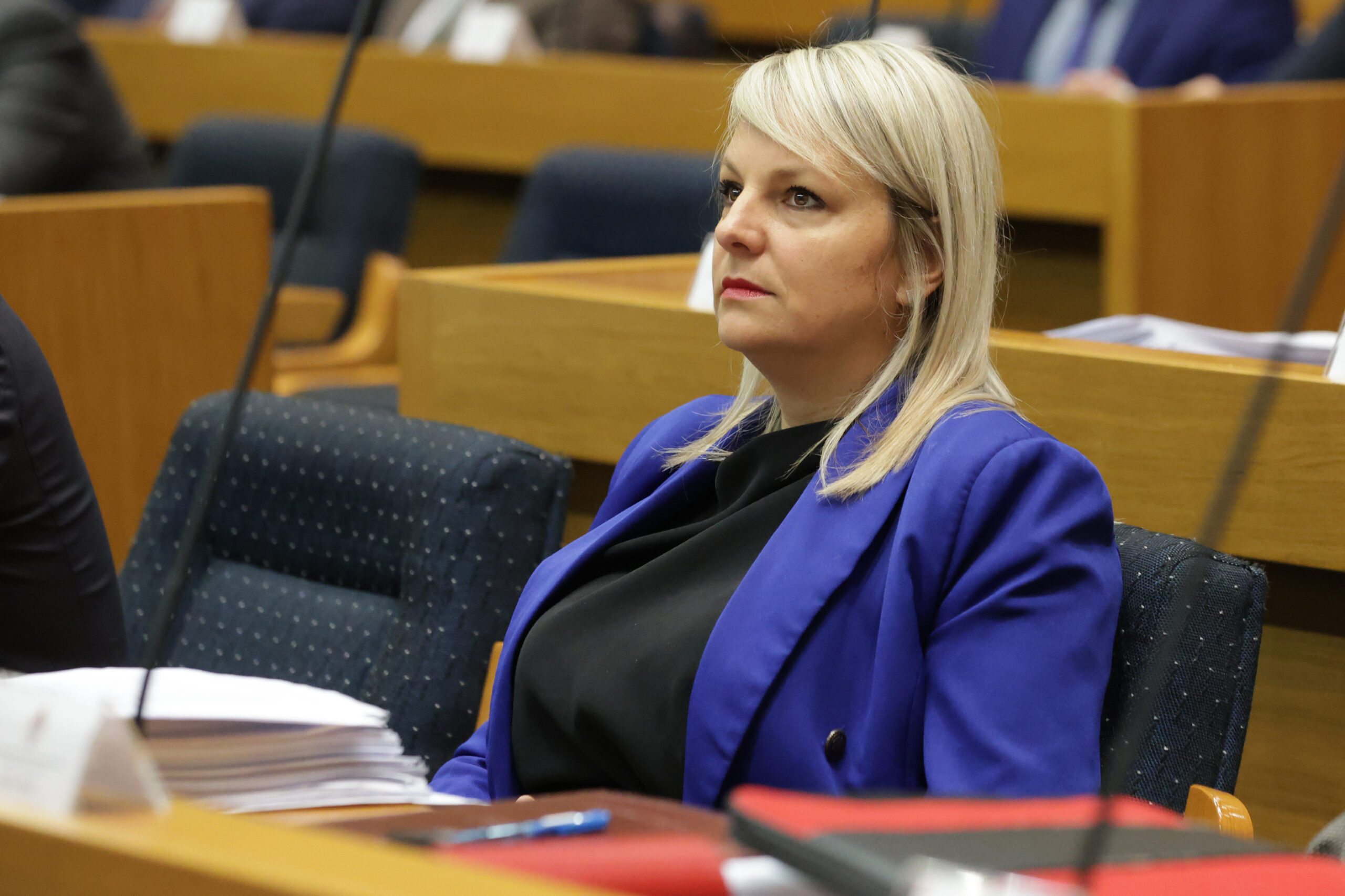 Mirna Savić Banjac traži više novca za kulturu