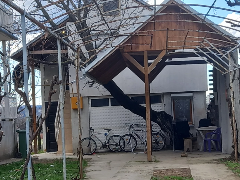 Ubistvo djece u Novom Sadu: Novi detalji istrage