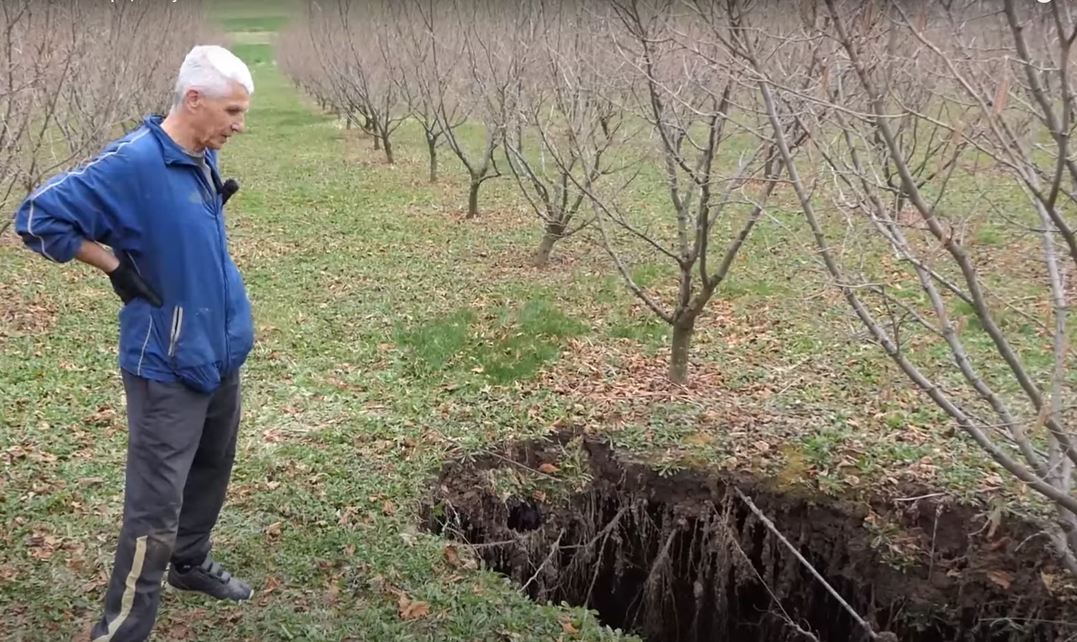 Velika rupa na plantaži lješnjaka, niko ne zna kada se pojavila