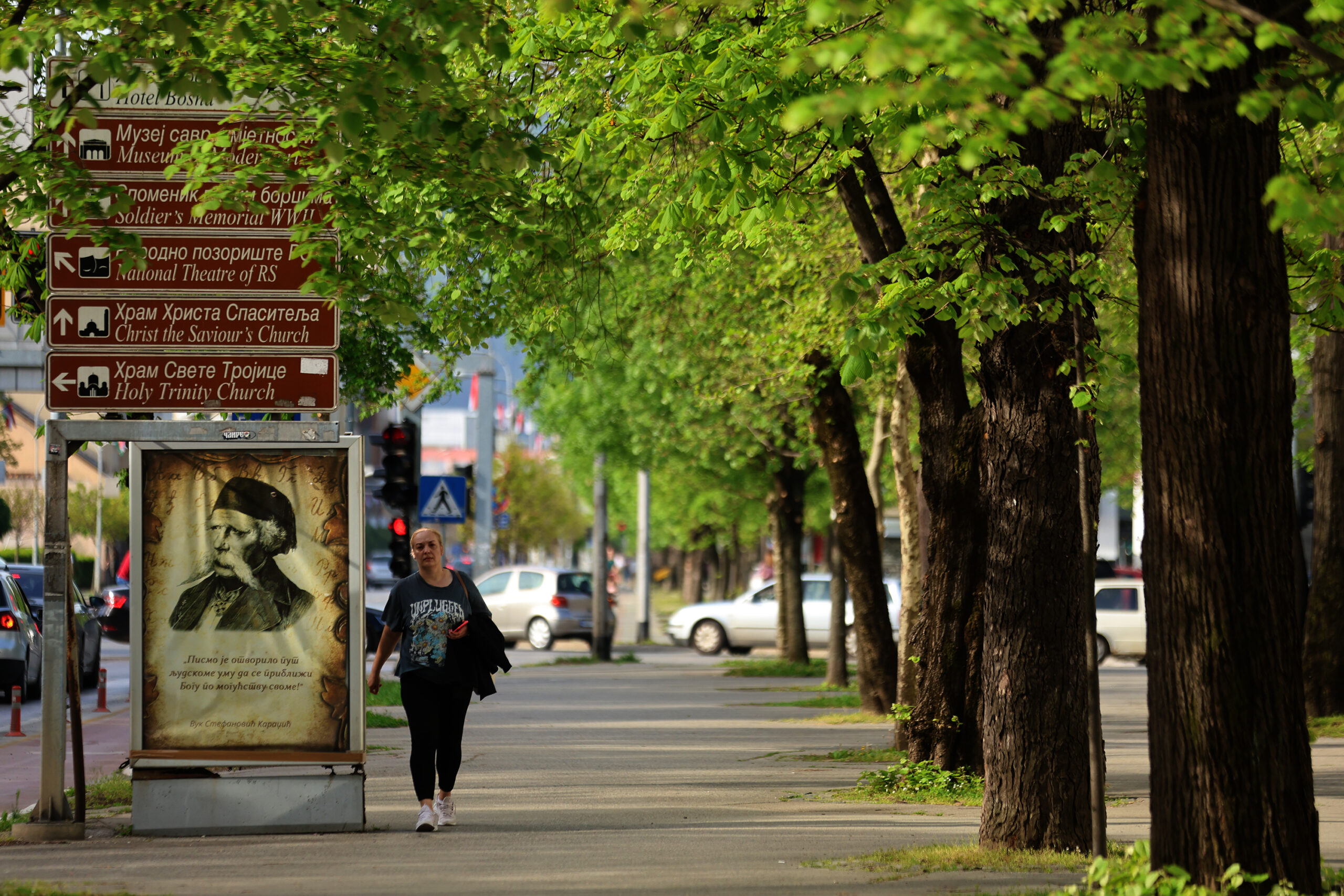 Veliko stablo palo na ulicu, za dlaku izbjegnuta tragedija