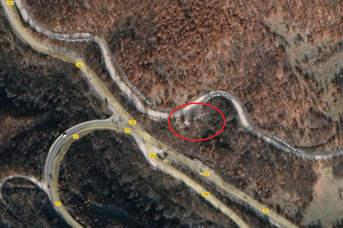 Danka Ilić je bila živa kada je udarena automobilom, jedan od osumnjičenih je udavio