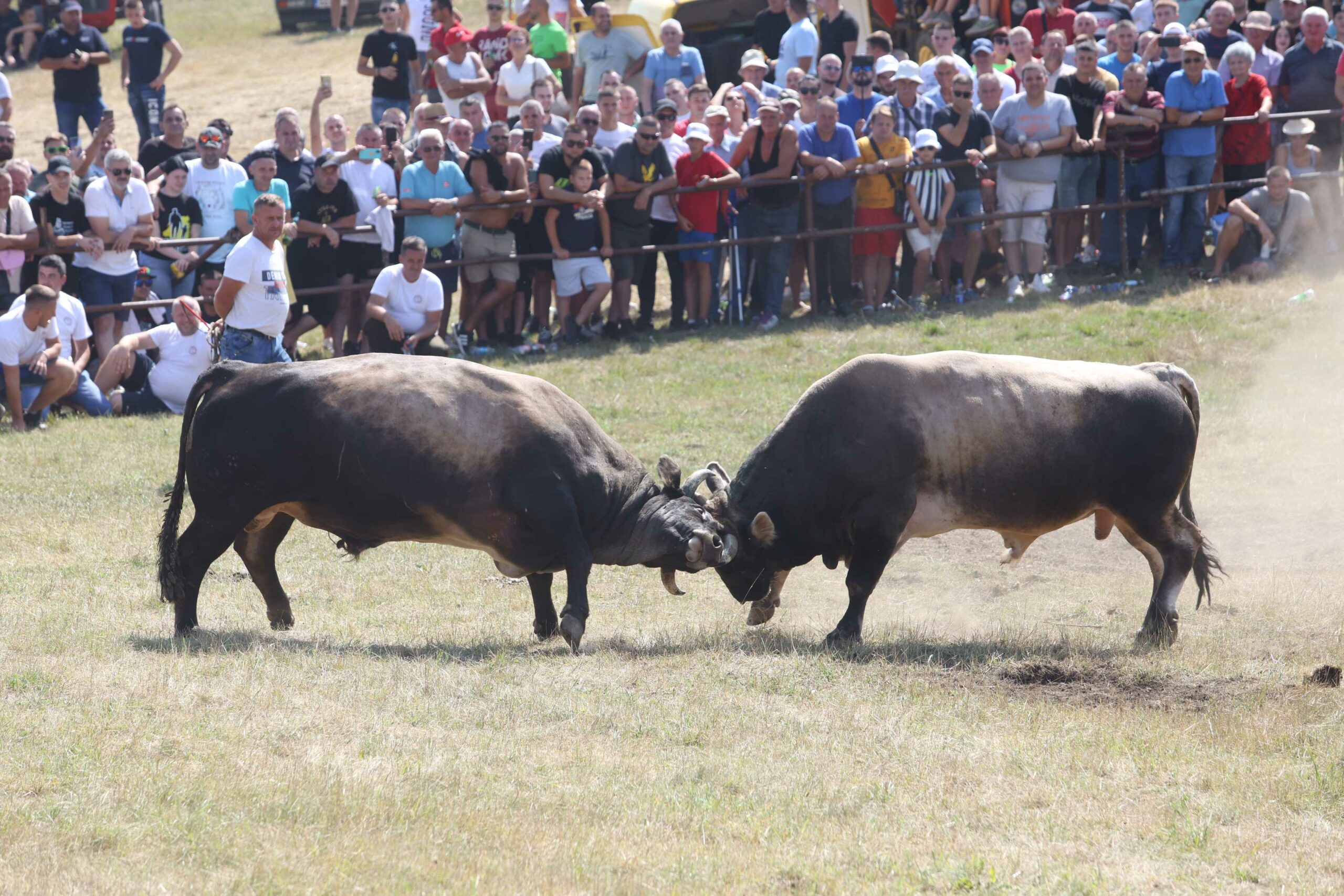 Uzgajivači bikova o proteklom Kočićevom zboru