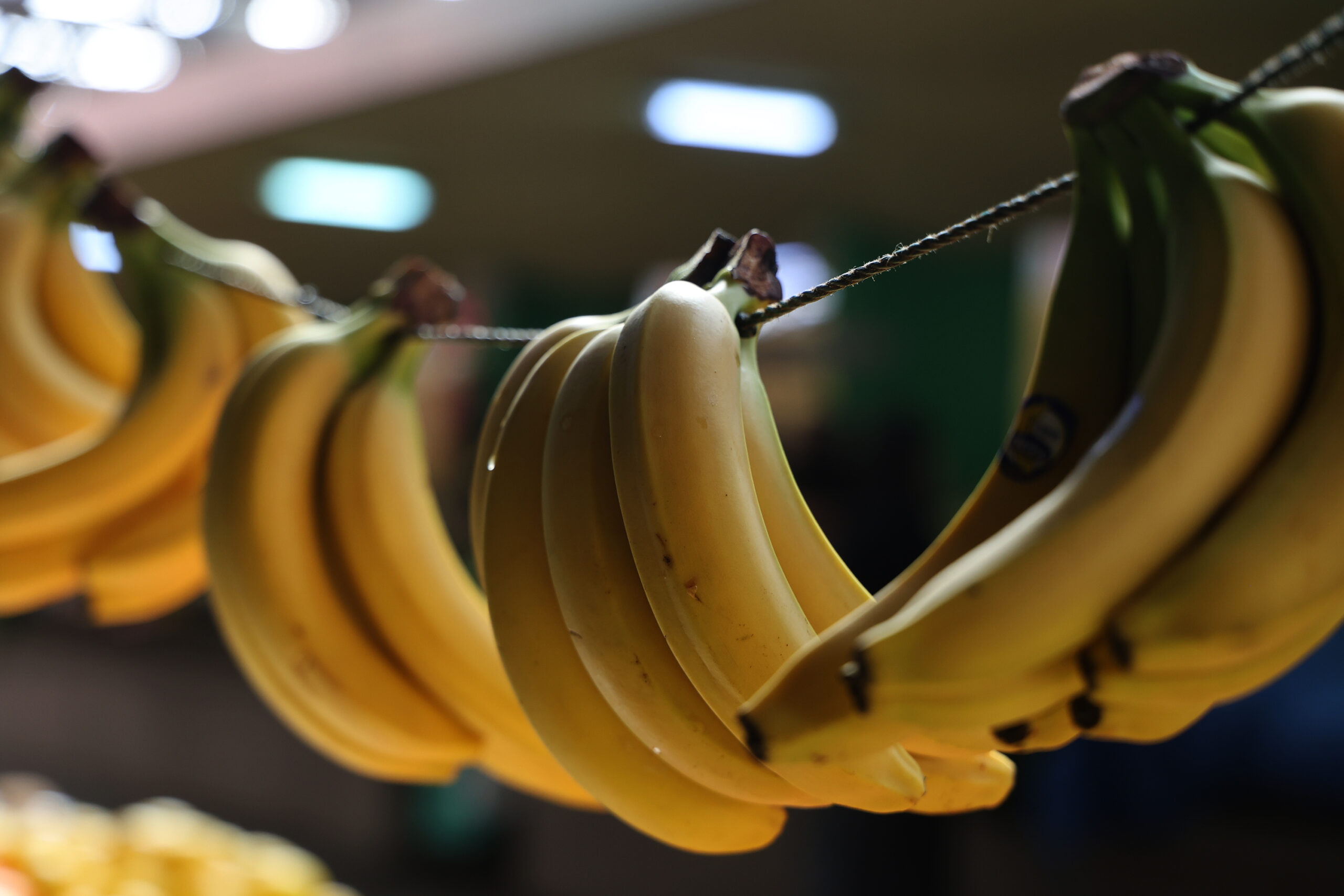 Kora banane je više od otpada: Saznajte zašto je pravo blago