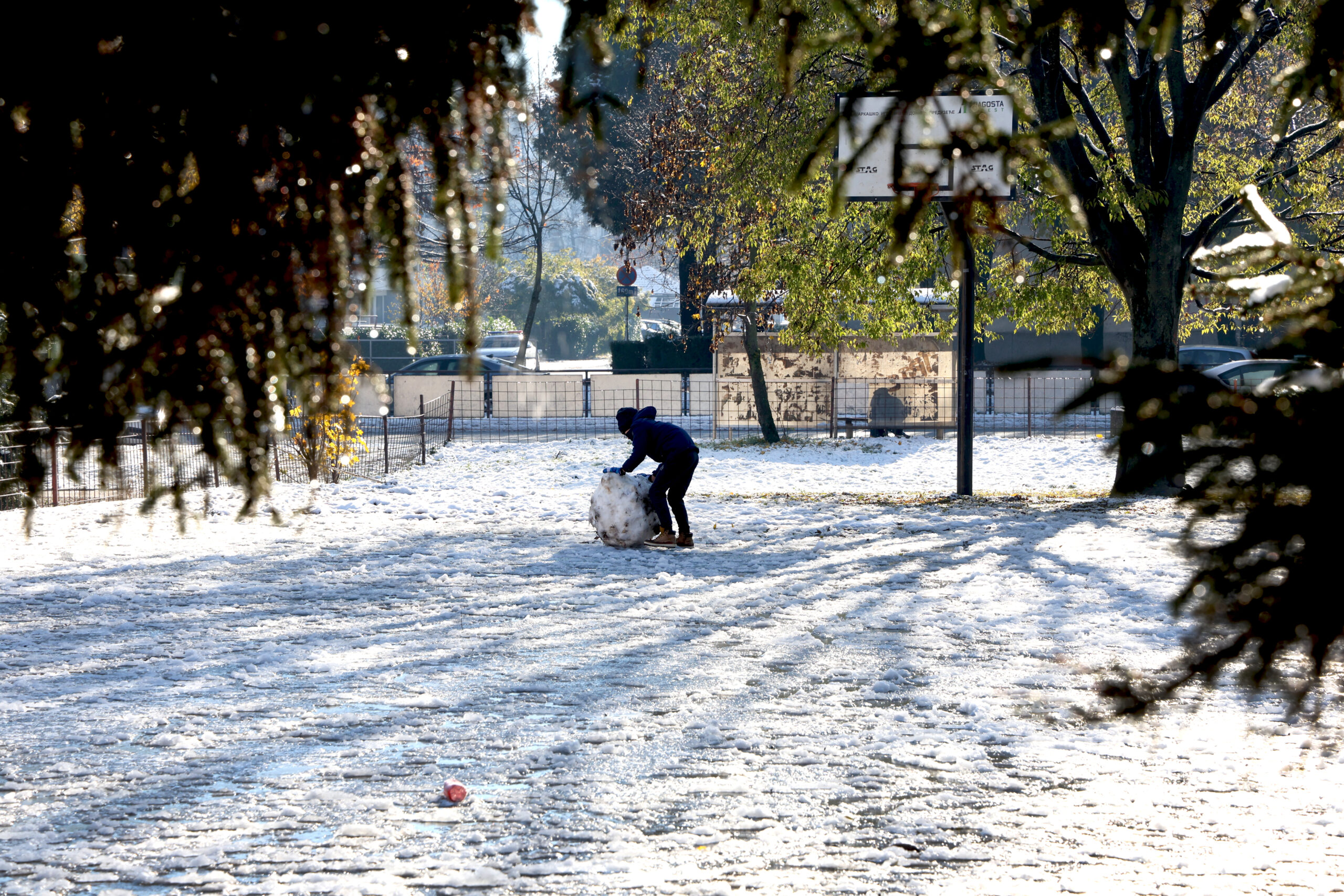 Snijeg za neke nije muka, već prilika sa sankanje i grudvanje
