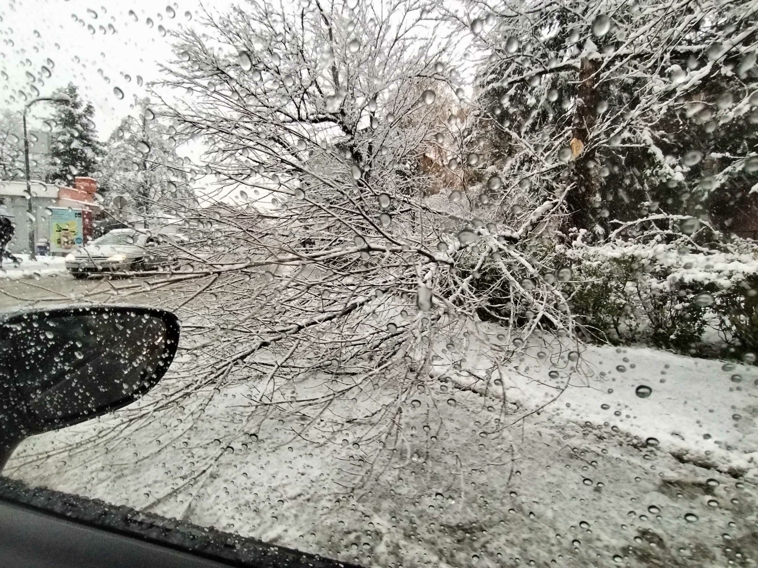 U Banjaluci pada jak snijeg, zimska služba izašla na teren