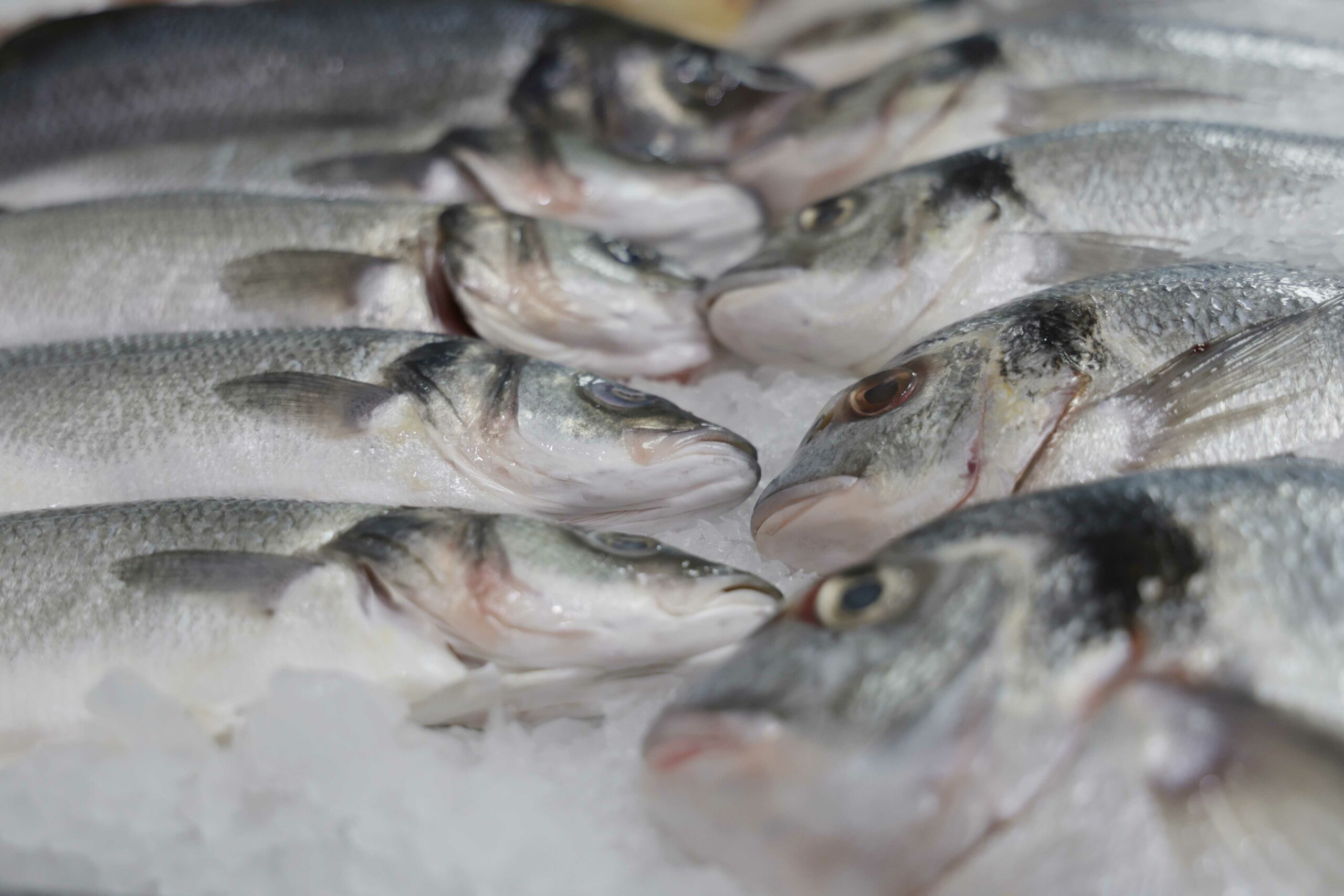 S tržišta se hitno povlači ova zaleđena riba