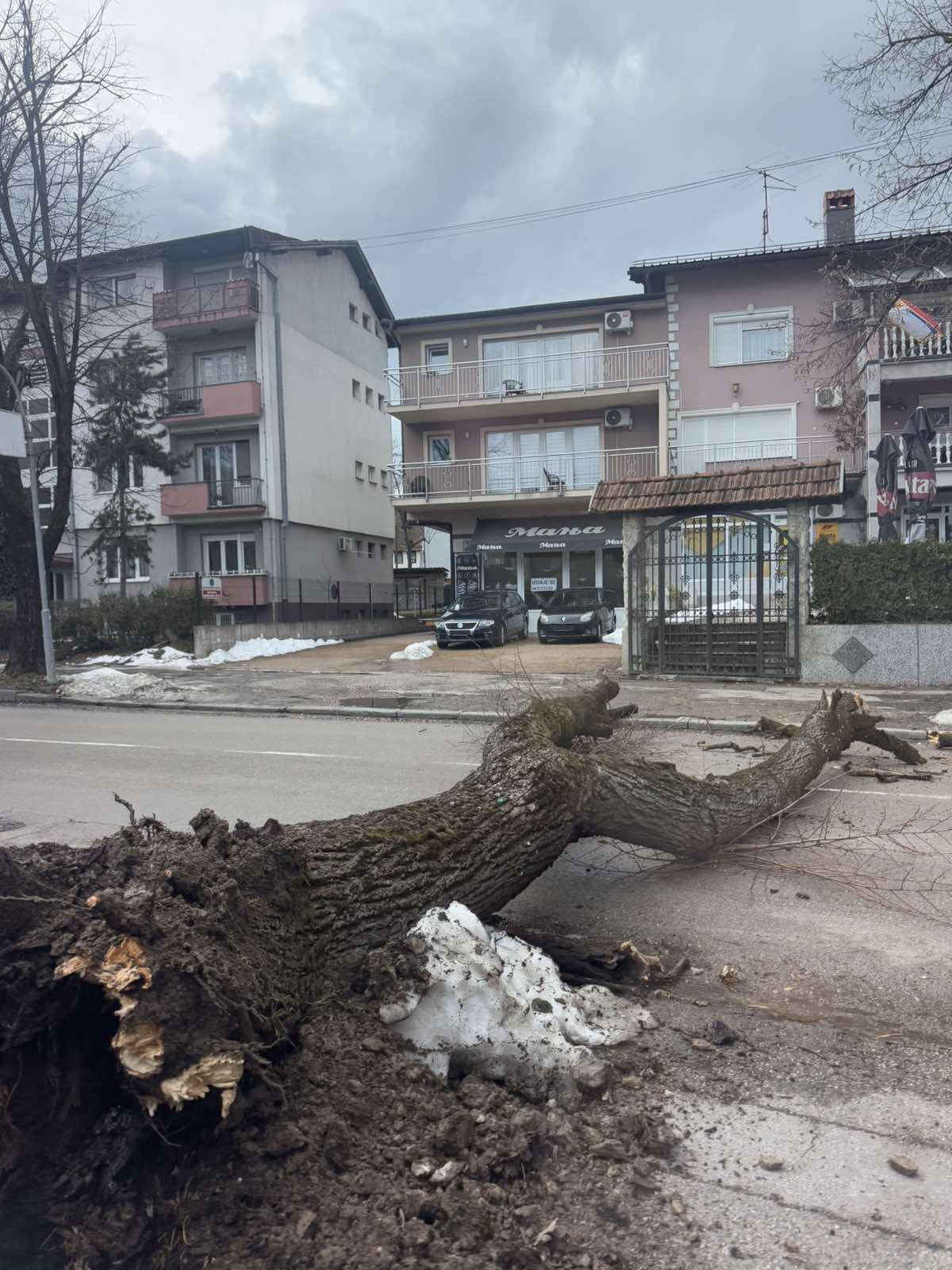 Palo stablo preko ulice u Banjaluci