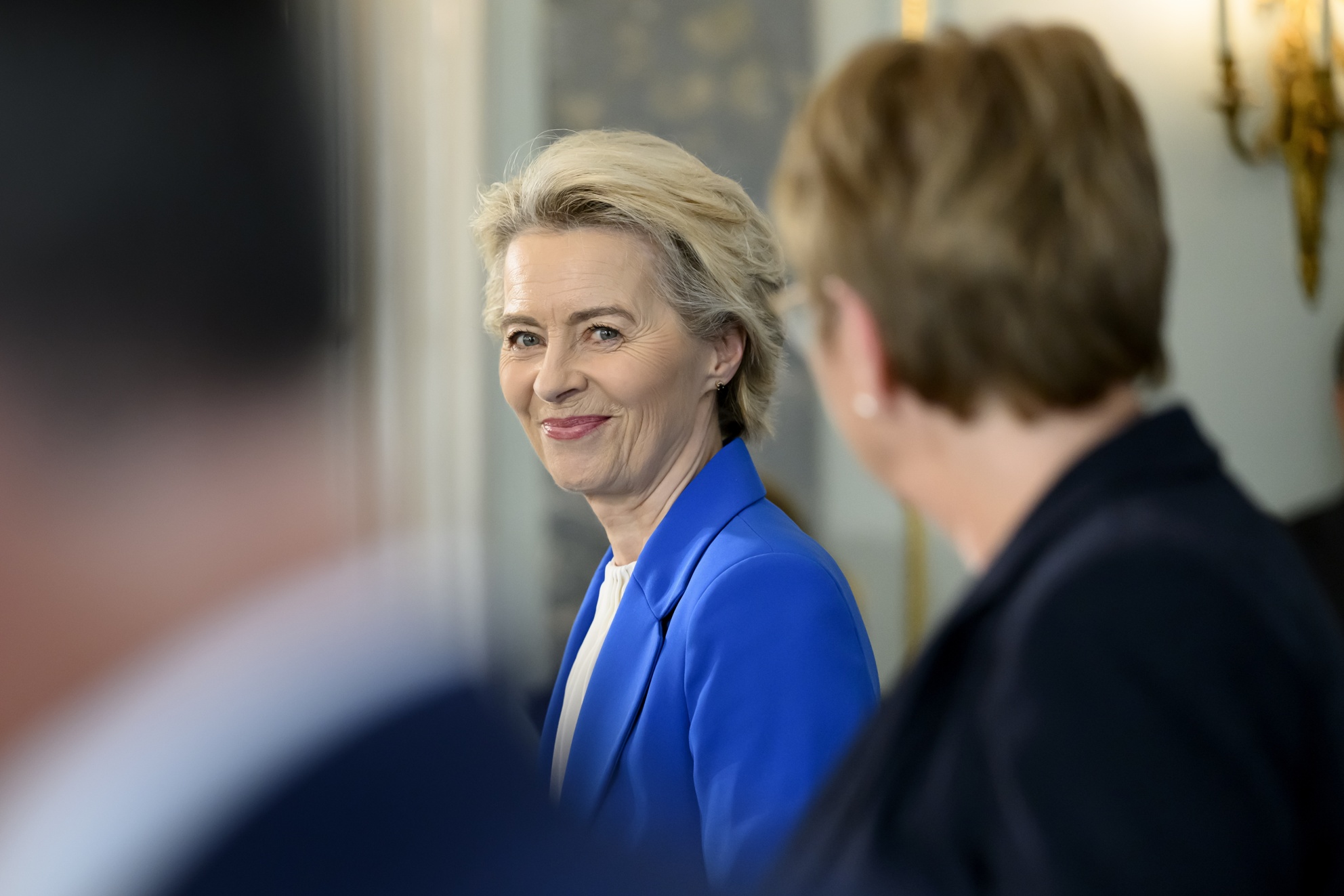 Fon der Lajen: Kijev u EU prije 2030. godine