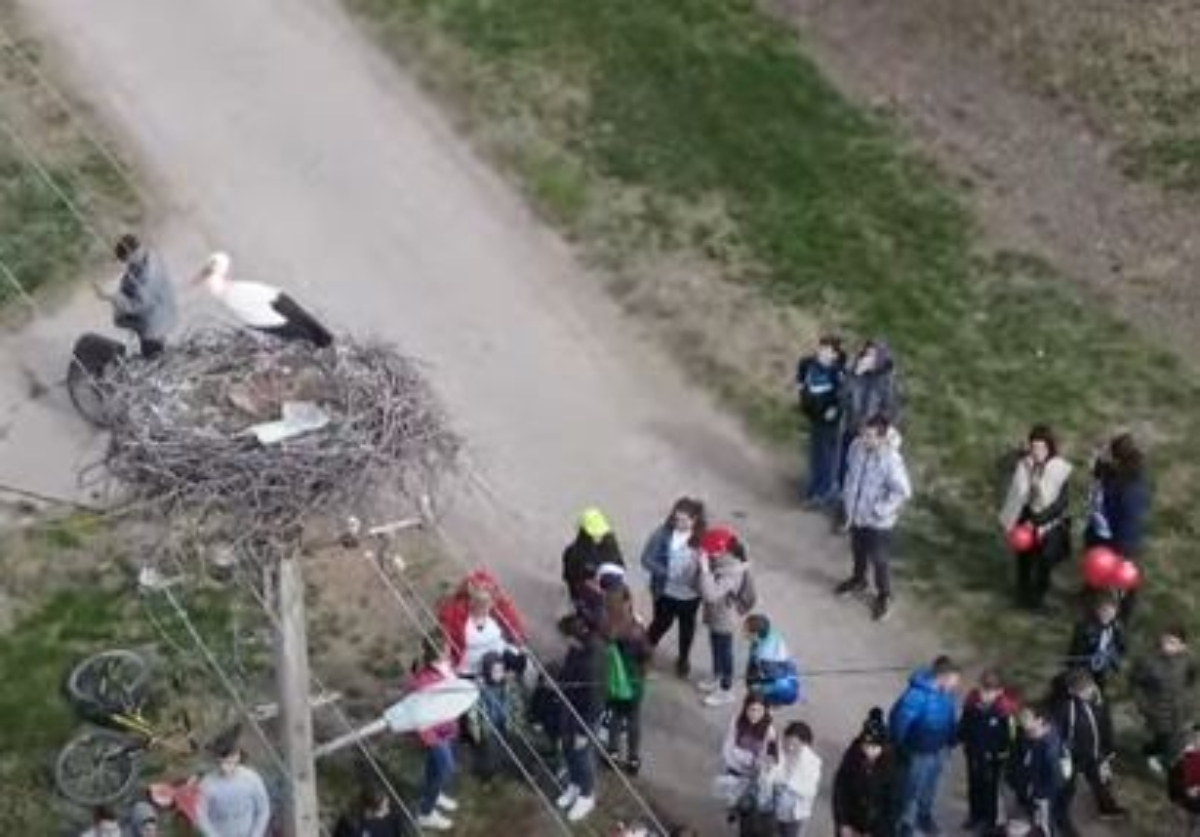 Najpoznatija roda u Srbiji 13. godinu zaredom sletjela u "selo roda"