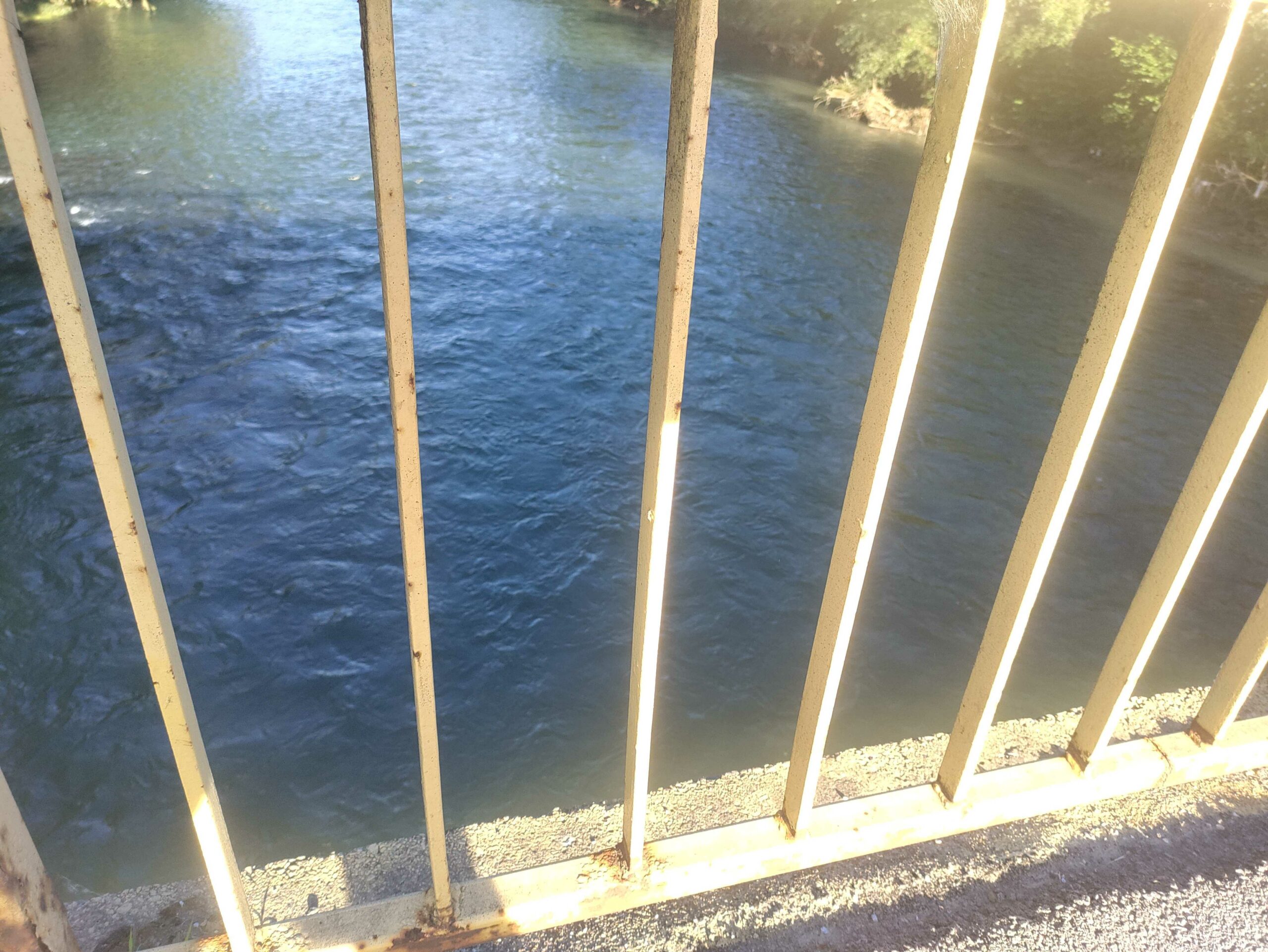 Detalji spasavanja djeteta koje je upalo u Vrbas kod Rebrovačkog mosta ...