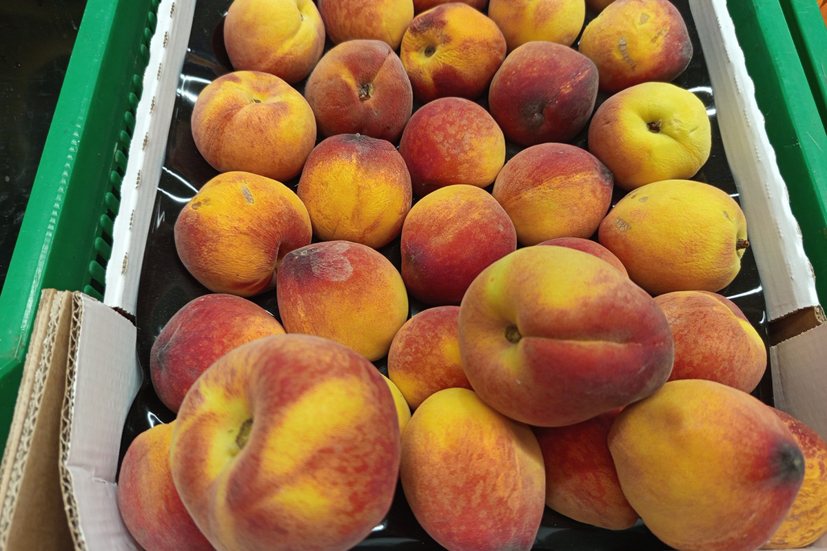 Kako prepoznati savršenu breskvu i šta kad ih imaš previše