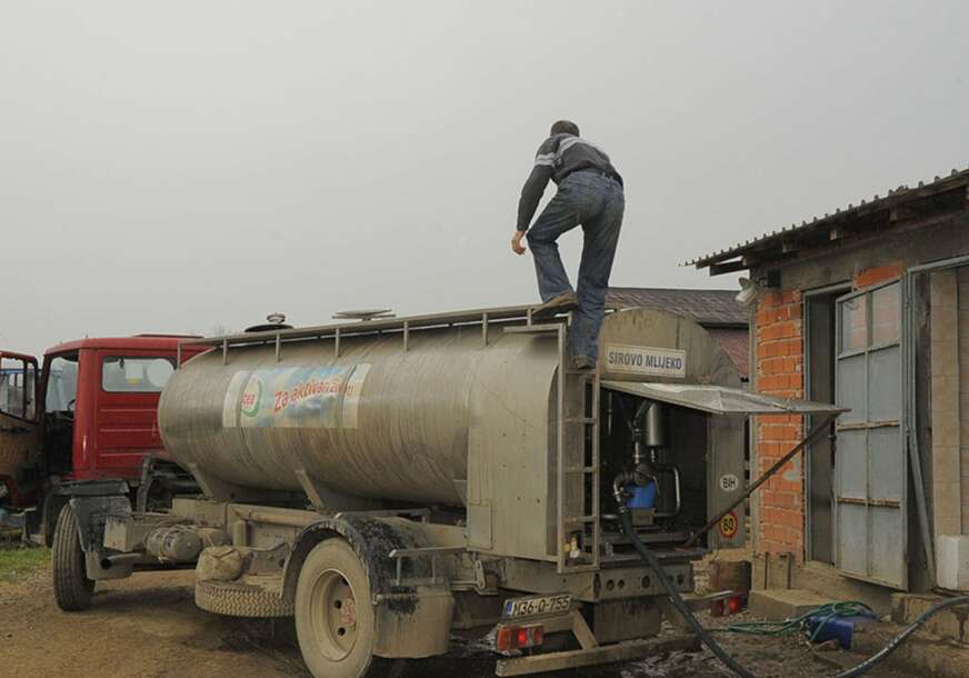 Propast mljekarstva u Srpskoj: prodati krave ili prosipati mlijeko